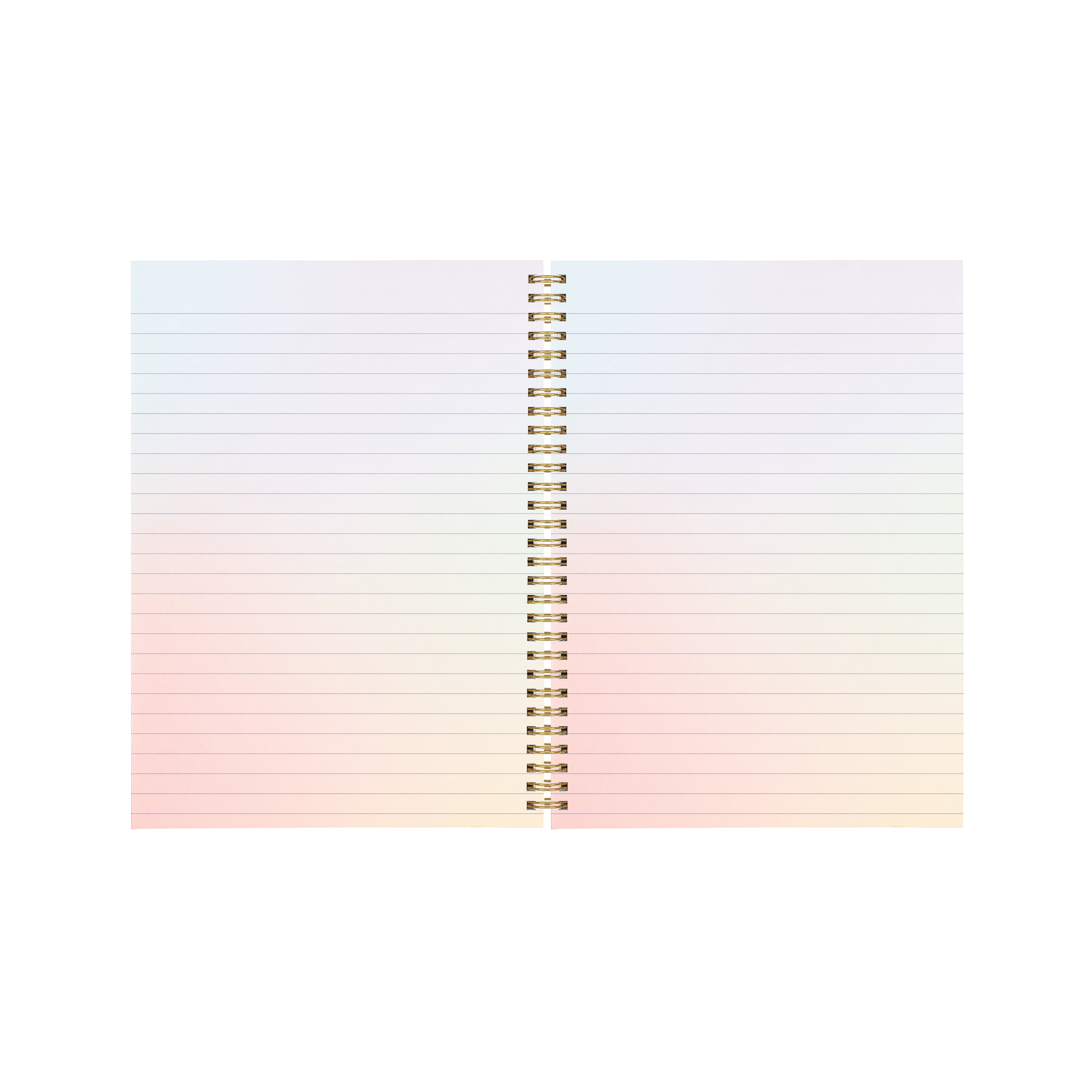 Rainbow Flower Notebook– Talking Out Of Turn